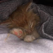 Steam Community :: bottom frag