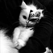 Steam Community :: dima atlantev