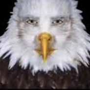 Steam Community :: Zesty Eagle