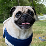 Steam Community :: Bub