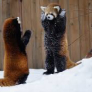 Steam Community :: cloud