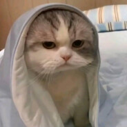 Steam Community :: Dinush