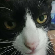 Steam Community :: Thanos Ingot