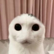 Steam Community :: boingus