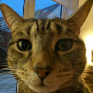 Steam Community :: Jerry Atrick