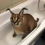 Steam Community :: Flopkin