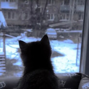 Steam Community :: squake