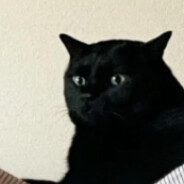 Steam Community :: Pruslas