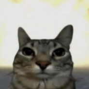 Steam Community :: Cat?!