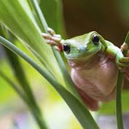 Steam Community :: GiggleShit