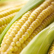 Steam Community :: Group :: Corn Club 🌽