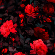 Steam Community :: Torii