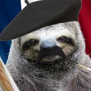 Steam Community :: Le French Sloth