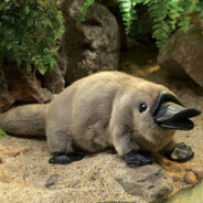 Steam Community :: -alwaez