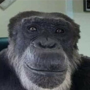 Steam Community :: bibizyan