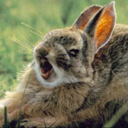 Steam Community :: Bernard Lasalle