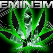 Steam Community :: Group :: 100 % Team Weed