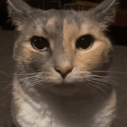 Steam Community :: Fr0g'4 ₭ʑ