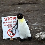 Steam Community :: Penguins_Lord