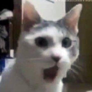 Steam Community :: RPG_REX_YT