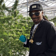 Steam Community :: rasant