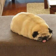 Steam Community :: Glimbo