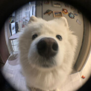 Steam Community :: dobby