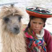 Steam Community :: Llama Man
