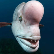 Steam Community :: Johnny the fish