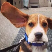 Steam Community :: BAGEL-BEAGLE