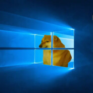 Steam Community :: win cheems