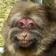 Steam Community :: Monkey king