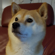 Steam Community :: Shibsy