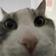 Steam Community :: aimbot victim