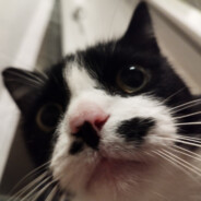 Steam Community :: Fent addict