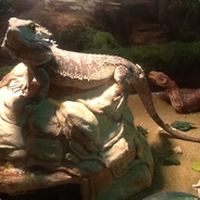 Steam Community :: Light Wielder