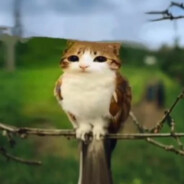 Steam Community :: fent fiend