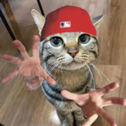 Steam Community :: Bolt