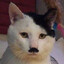 Steam Community :: Adolf Catler :: Item Inventory