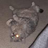 Steam Community :: Carson_Something