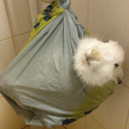 Steam Community :: Skrubu