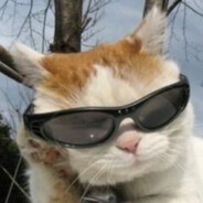 Steam Community :: Floppa