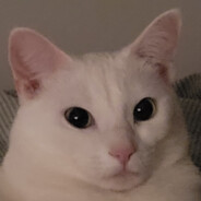 Steam Community :: Jesse