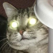 Steam Community :: Darla