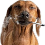 Steam Community :: dog smoking a blunt