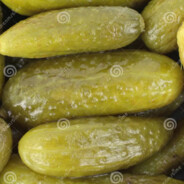 Steam Community :: pickles