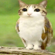 Steam Community :: pixie