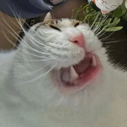 Steam Community :: fLOPiK