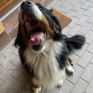 Steam Community :: Freaky Jesse