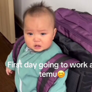 Steam Community :: Chinese Temu Worker